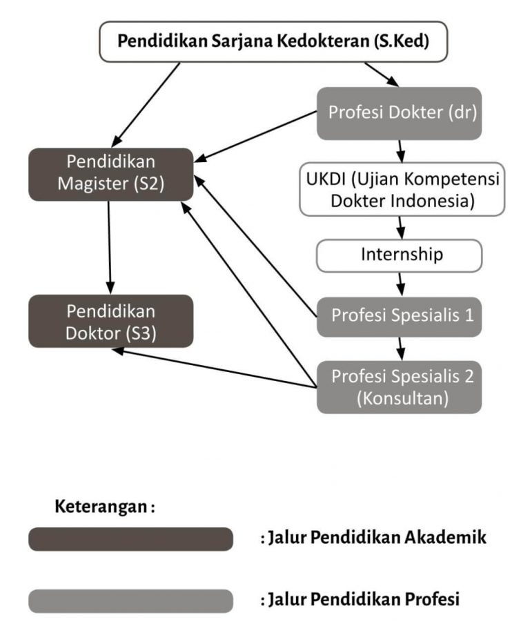 5 Tahapan Menjadi Dokter Spesialis (Jenjang Pendidikan Jurusan Kedokteran)